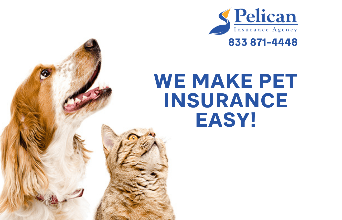 What Are The Benefits of Pet Insurance? - Pelican Insurance Agency, LLC
